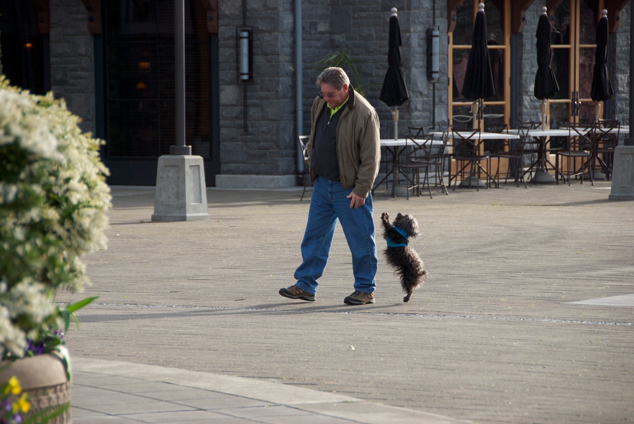 ScottAndShelley – Gentle Humor